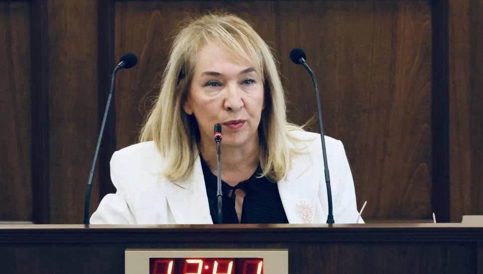 Filiz Besim: Hemşirelerde temel İngilizce şart - North Cyprus